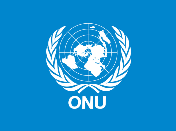 O Que A ONU O Que A ONU